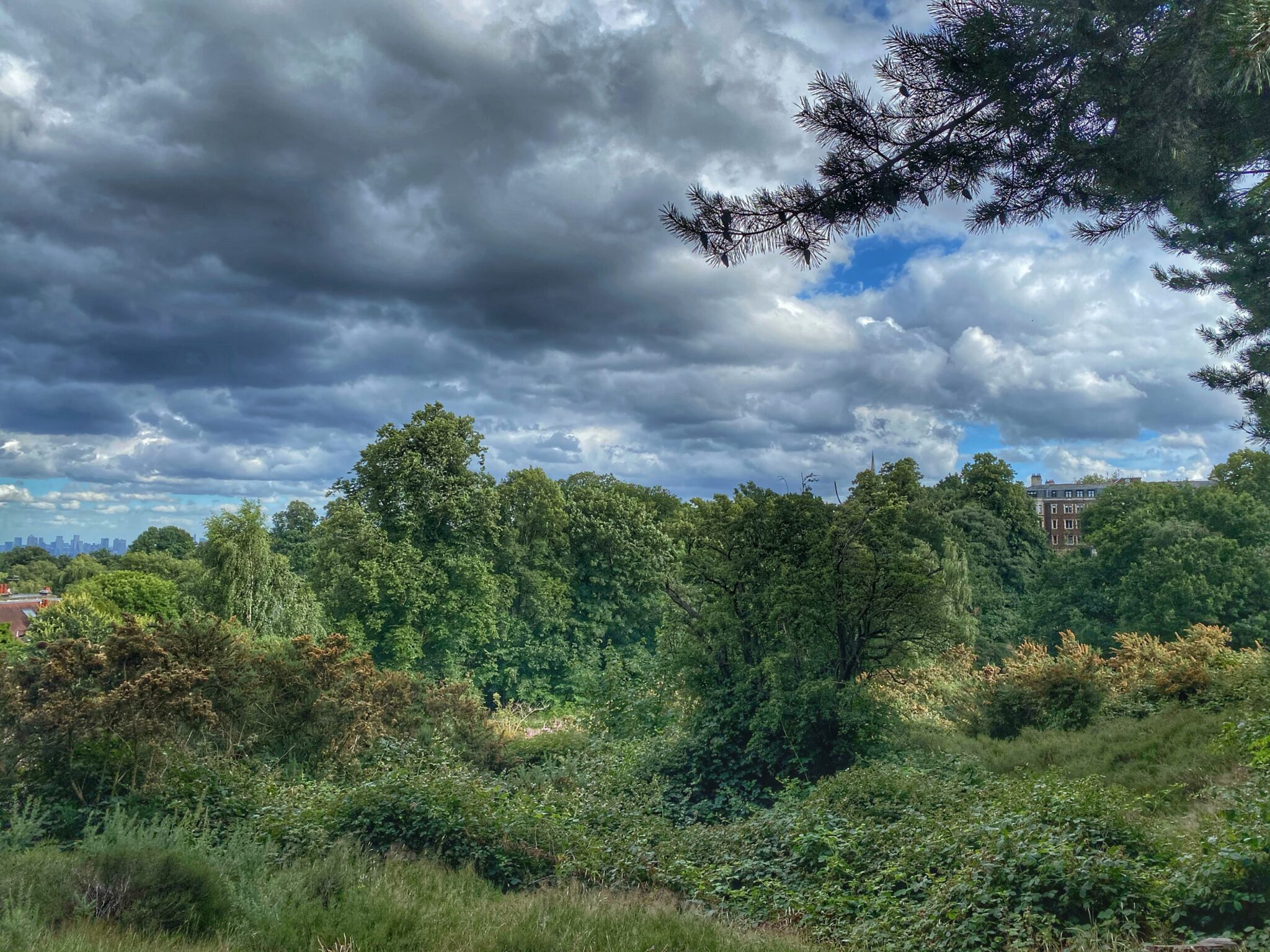How To Get To Hampstead Heath And The Pleasures It Affords - London Walks