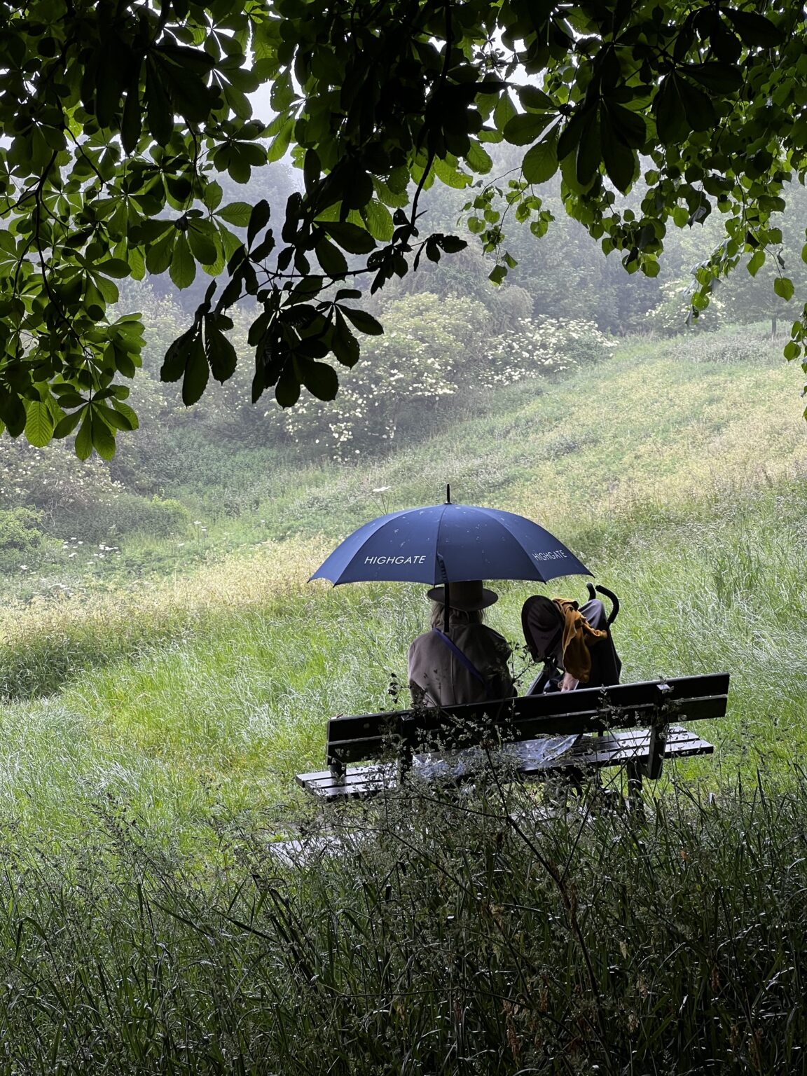 Hampstead Village & Hampstead Heath Walking Tour