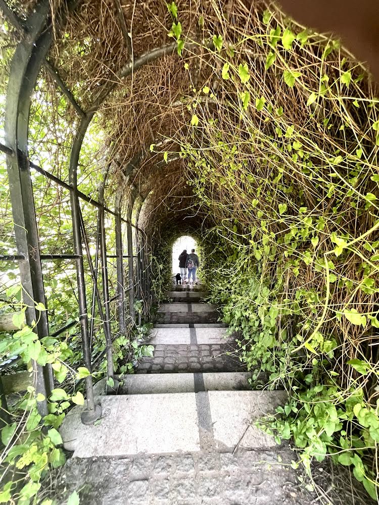 The Isle of Dogs - London Walks