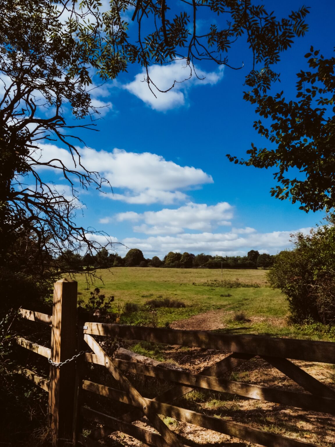 The Cotswolds Tour