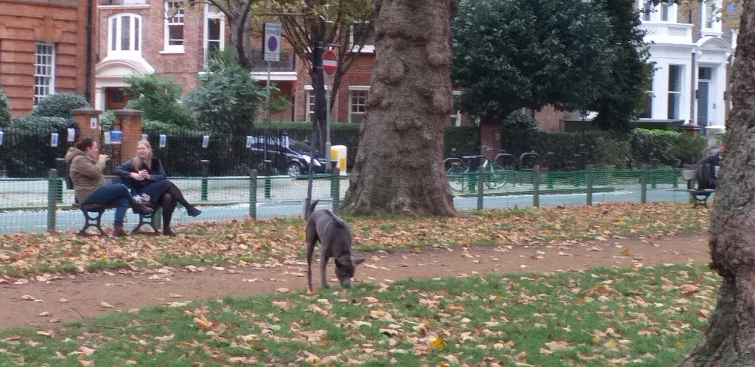 Brook Green – the Secret Side of Hammersmith - London Walks