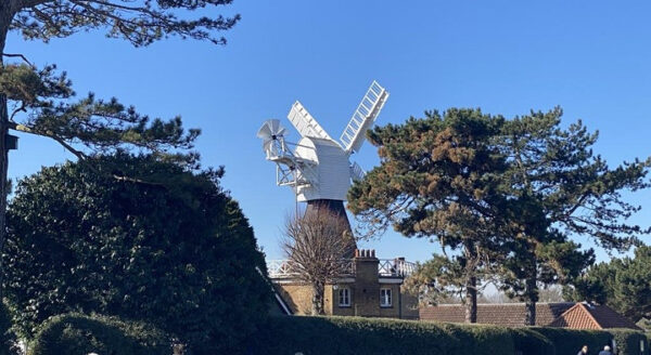 Wimbledon: Village, Common, Parks and Tennis - London Walks