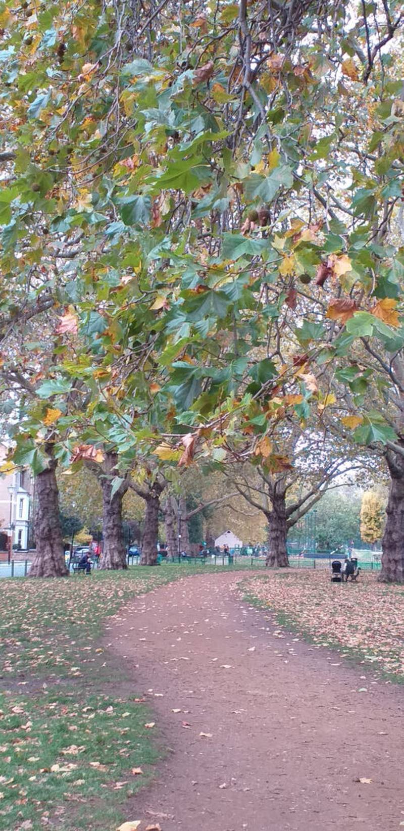 Brook Green – the Secret Side of Hammersmith - London Walks