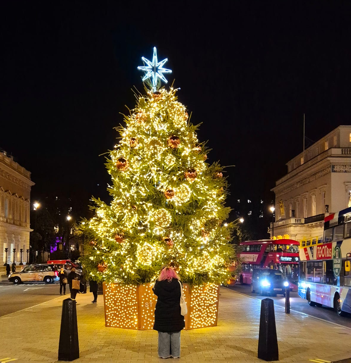 The Christmas Trees of London – A Sparkling New Walk - London Walks
