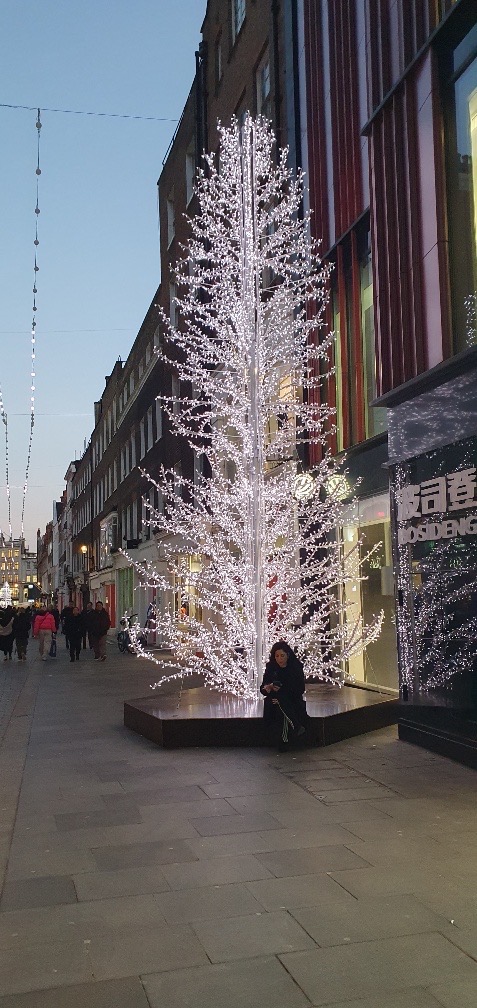 The Christmas Tree(s) Walk - London Walks