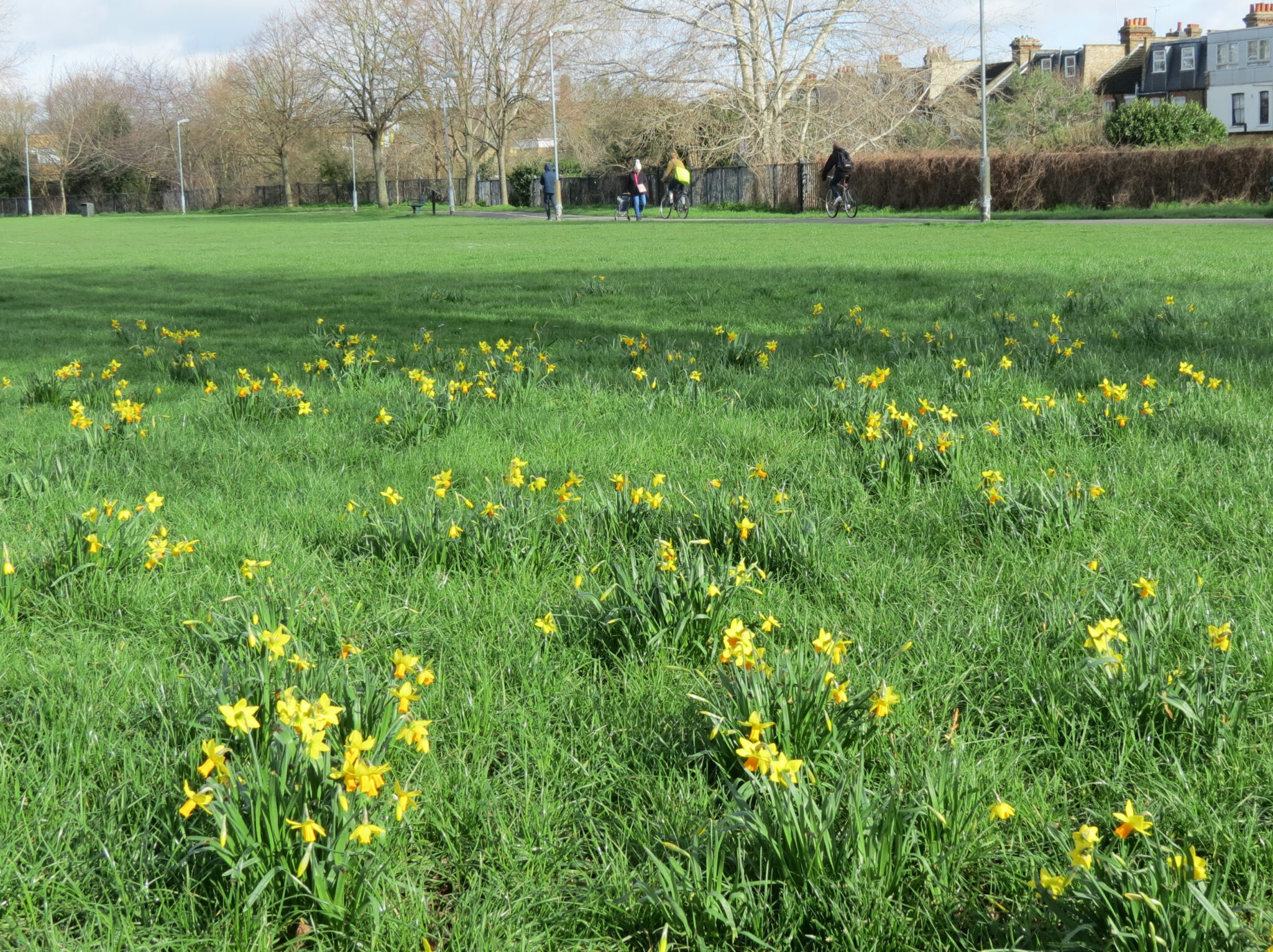 River Wandle & Wandsworth Canal - London Walks