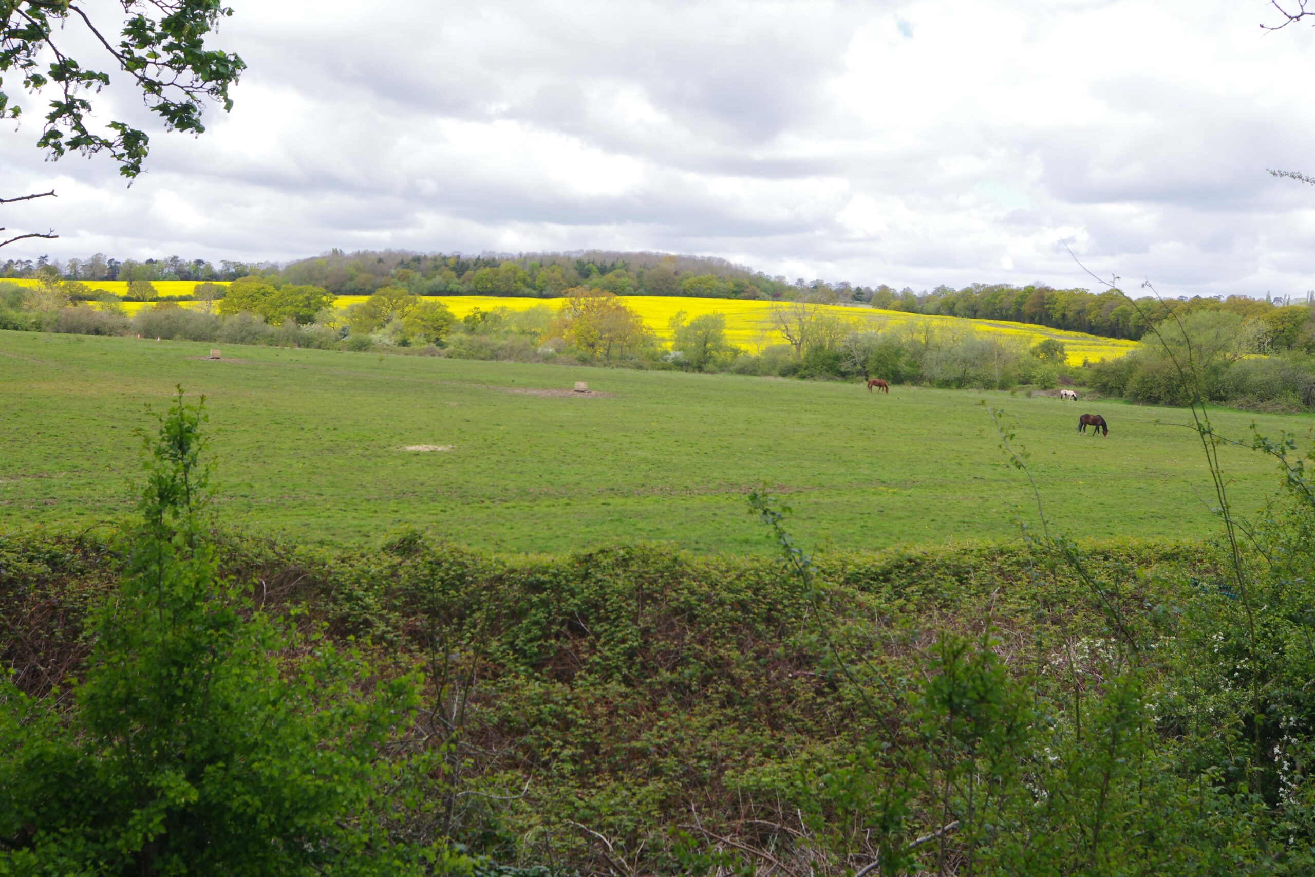 The Ultimate London Walk – Section 1: Hadley Wood to High Barnet ...
