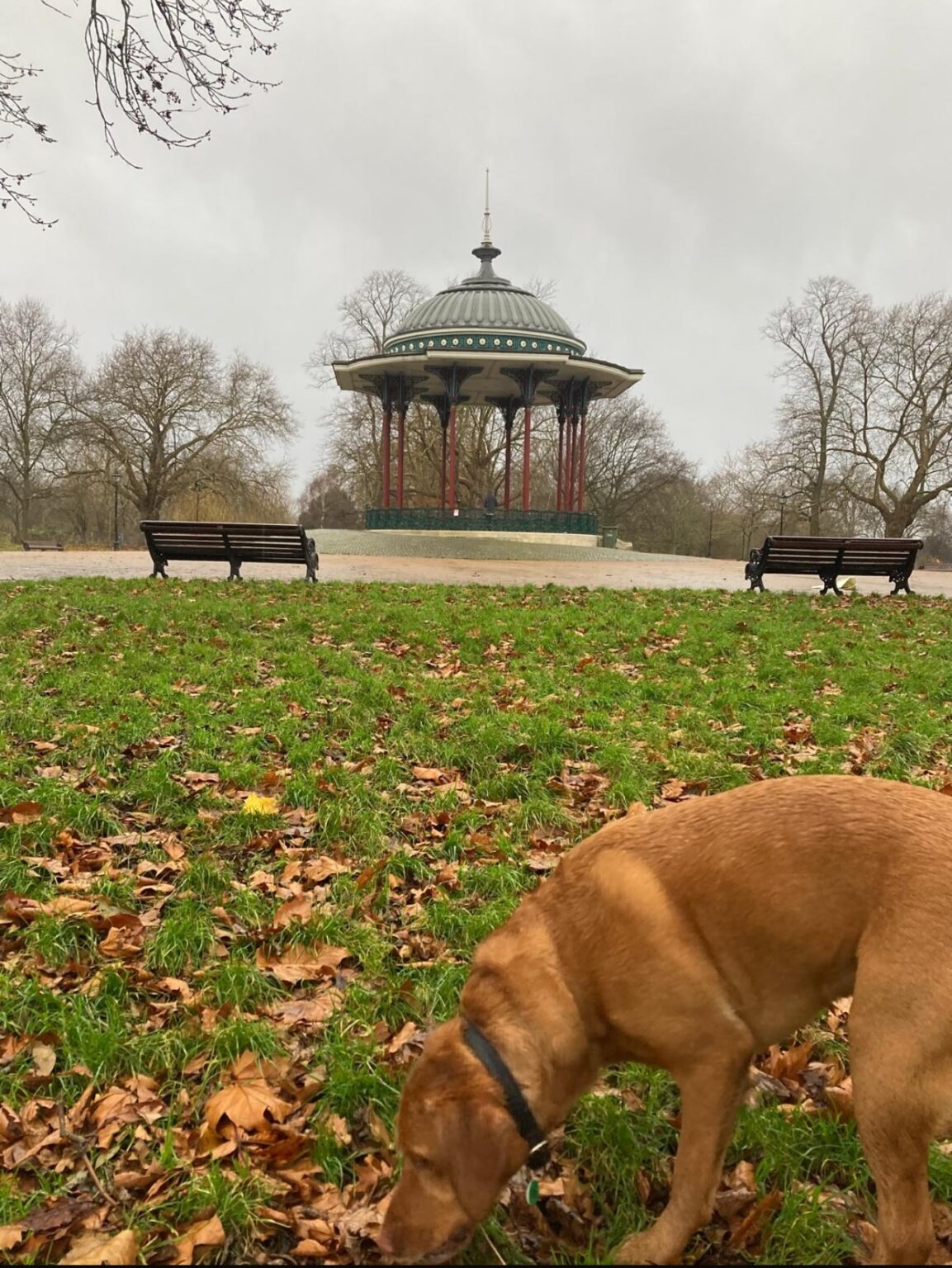 Clapham Common – London's Green Frontier - London Walks